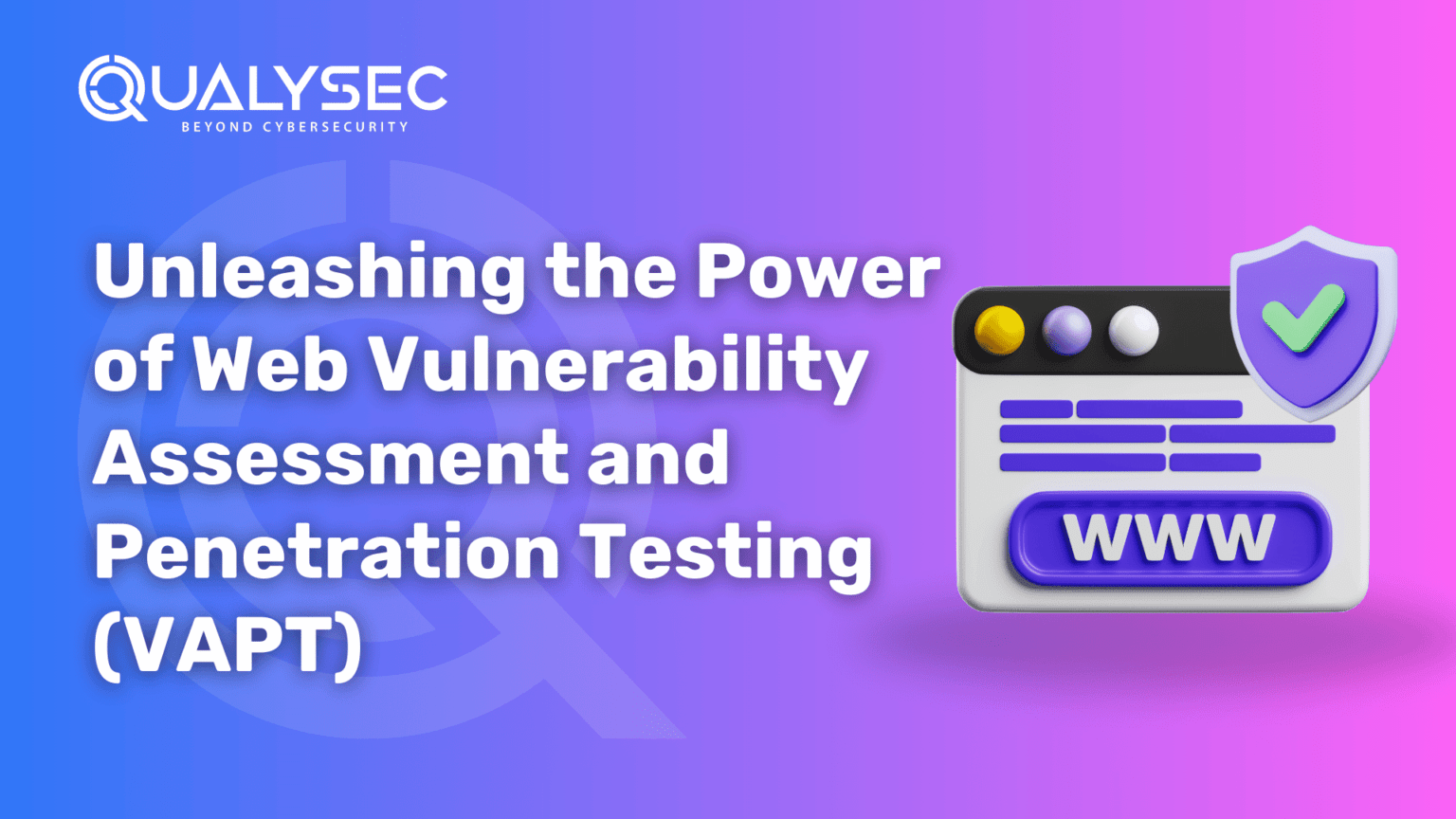 Web Vulnerability Assessment and Penetration Testing Services