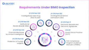 BIMO Inspections: A Guide to Basics and Best Practices